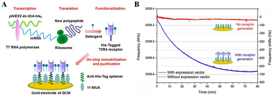Recent Advances in Bitterness-Sensing Systems
