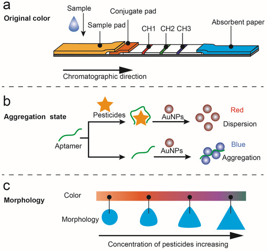 Recent Advances in Nanoparticle-Based Optical Sensors for Detection of ...