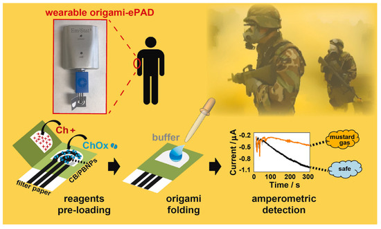 Biosensors | Free Full-Text | Trends in Paper-Based Sensing Devices for ...