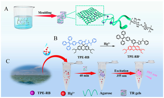 Aggregation Induced Emission Luminogen Encapsulated Fluorescent Hydrogels Enable Rapid And