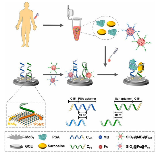 Recent Developments in the Design and Fabrication of Electrochemical ...