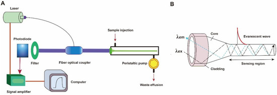 Biosensors | Free Full-Text | Recent Progress in Functional-Nucleic-Acid-Based Fluorescent Fiber ...