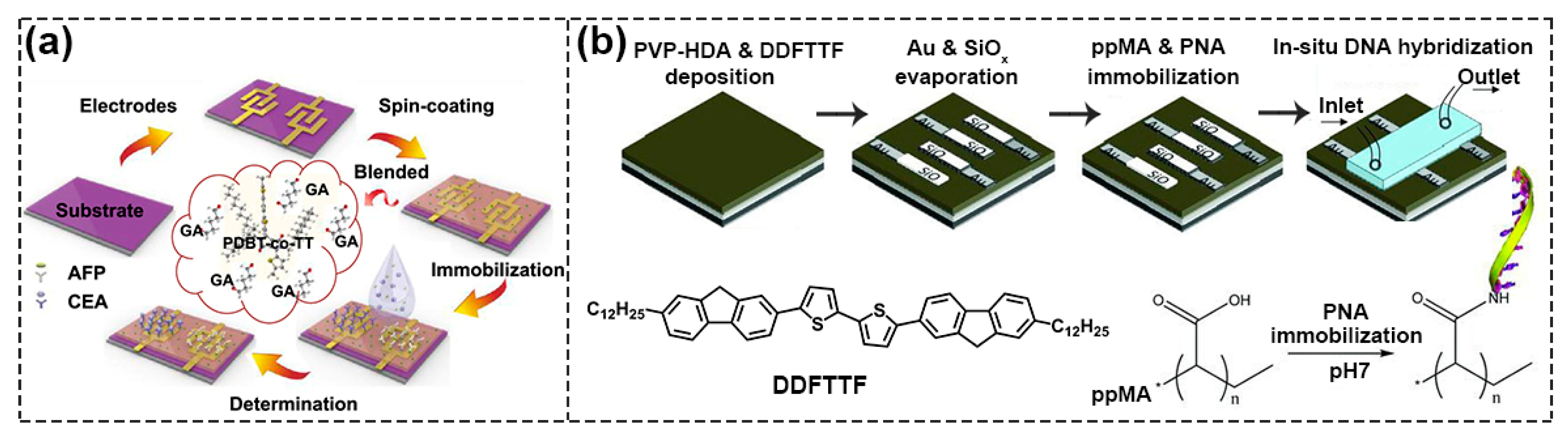 Recent Advances in Field Effect Transistor Biosensors: Designing ...