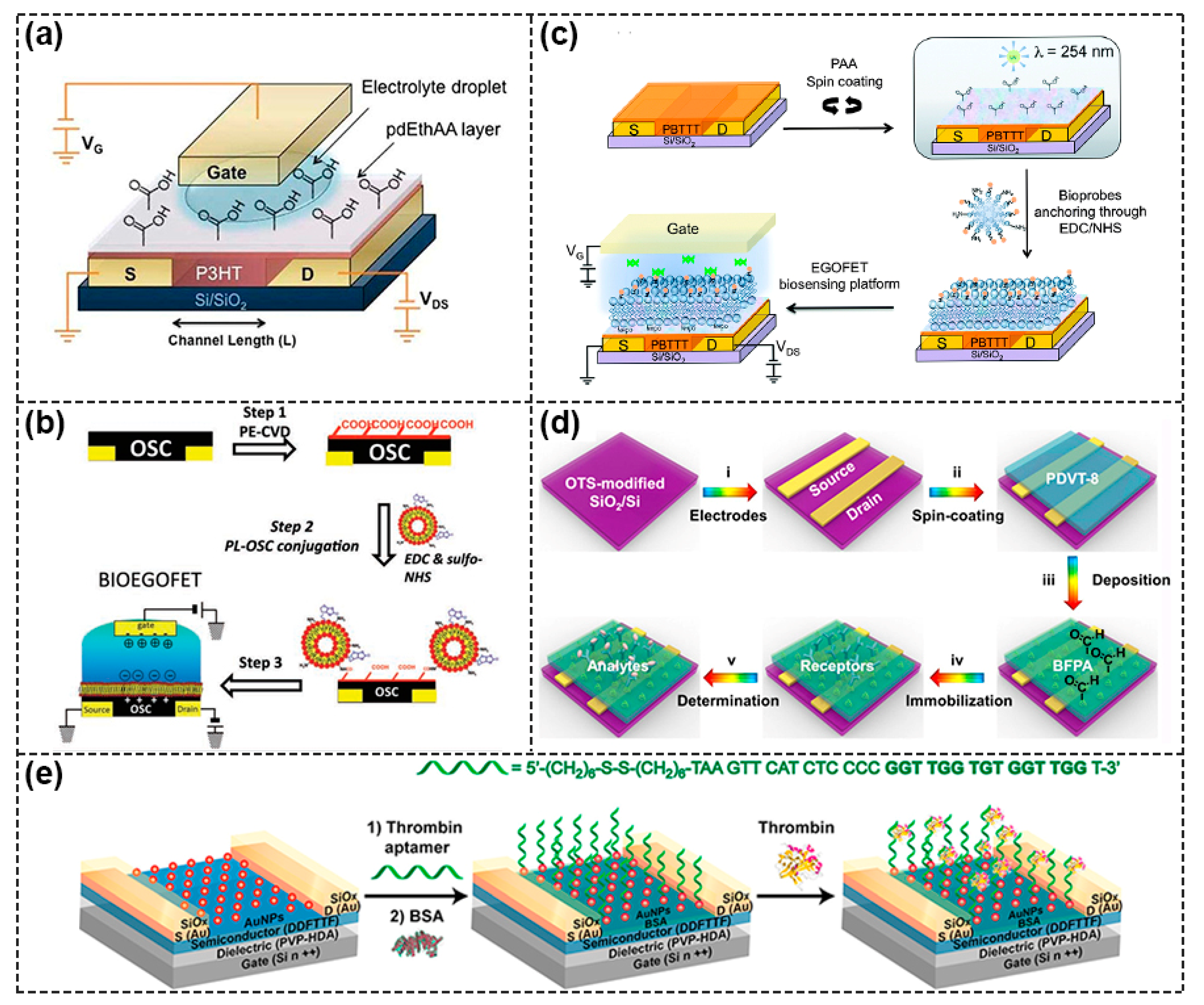 Recent Advances in Field Effect Transistor Biosensors: Designing ...