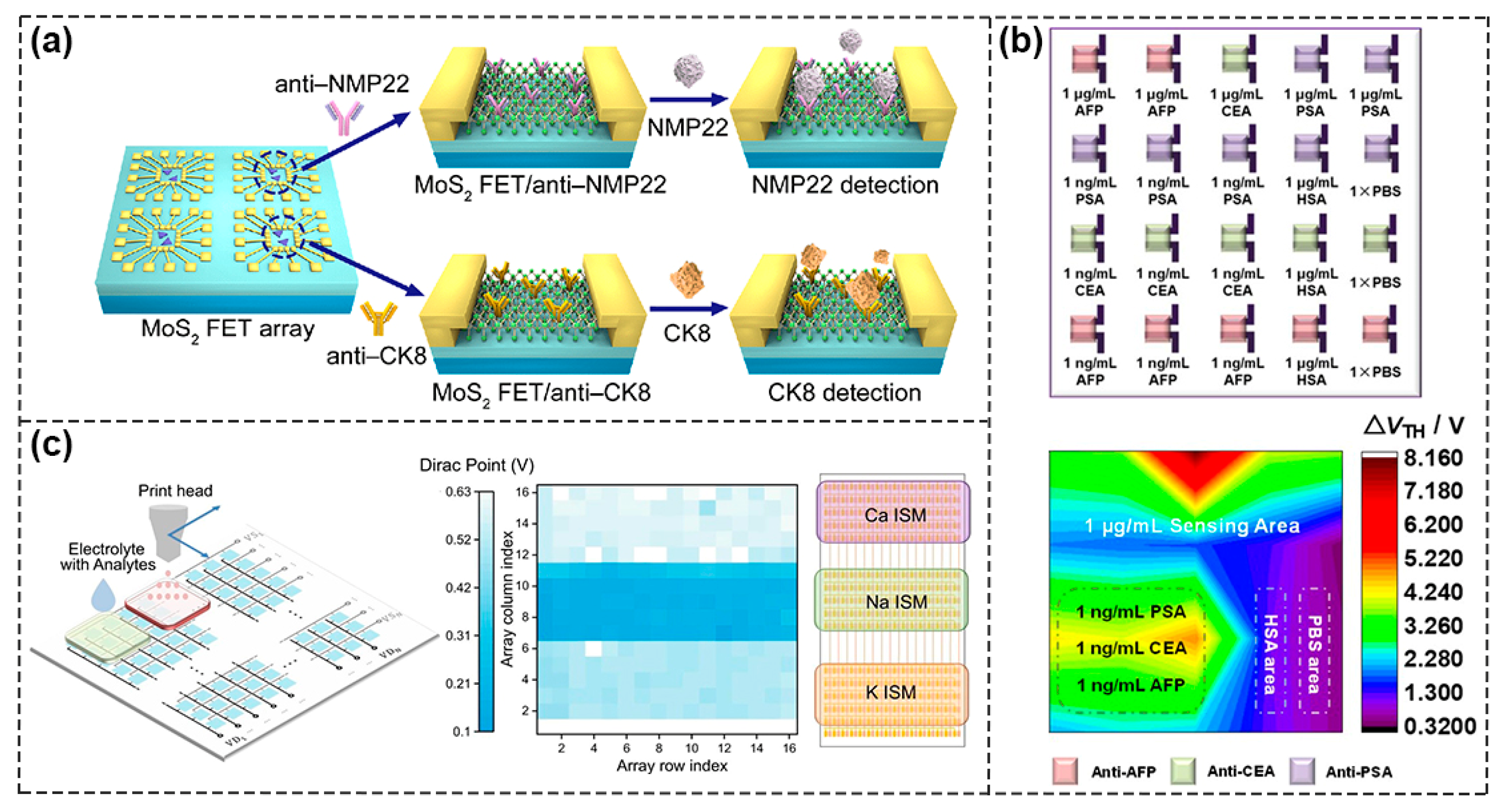 Recent Advances in Field Effect Transistor Biosensors: Designing ...