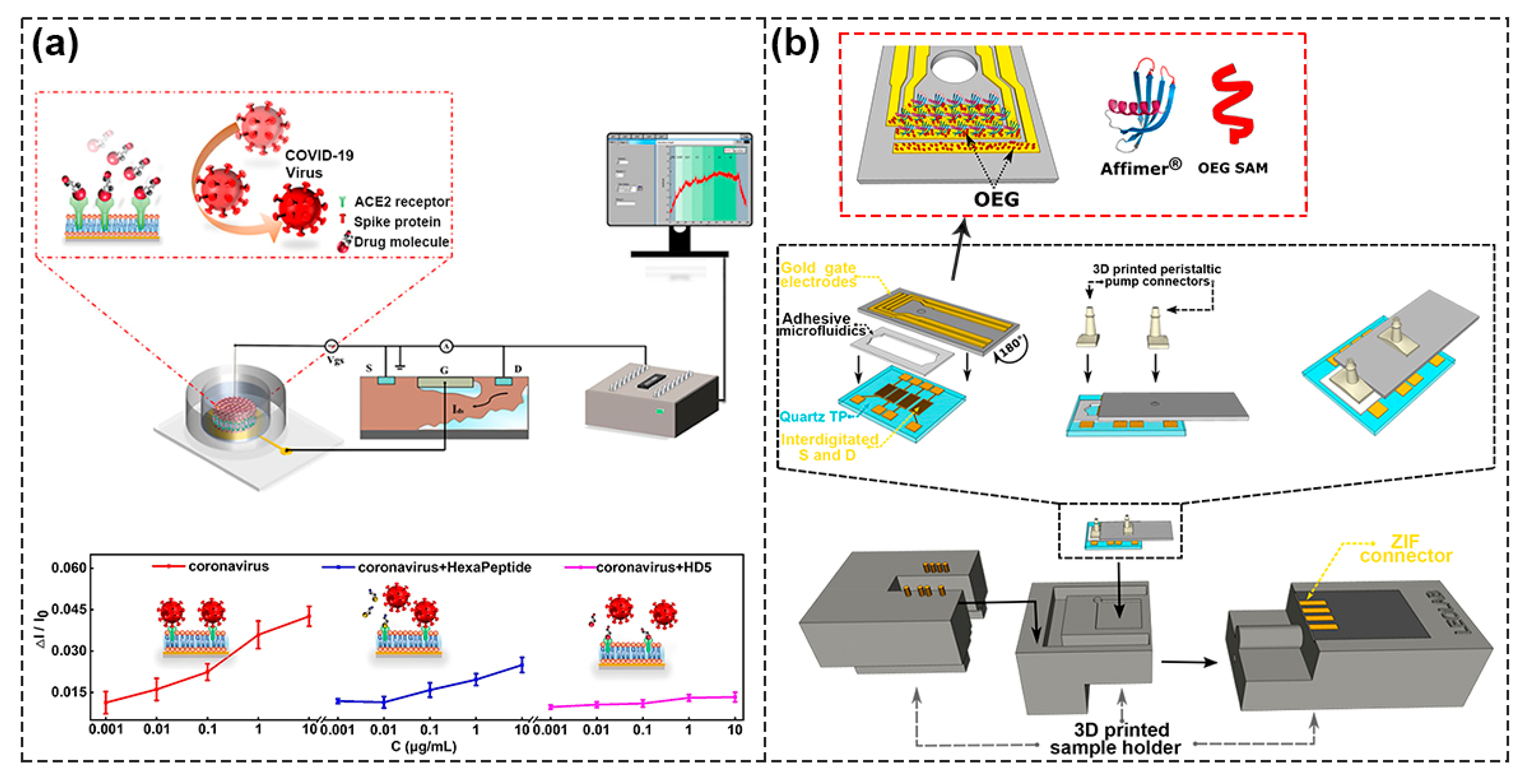 Recent Advances in Field Effect Transistor Biosensors: Designing Strategies and Applications for ...
