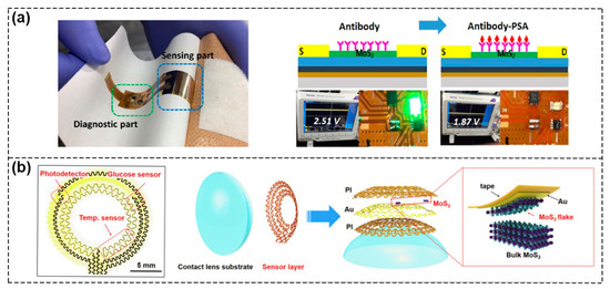 Recent Advances in Field Effect Transistor Biosensors: Designing ...