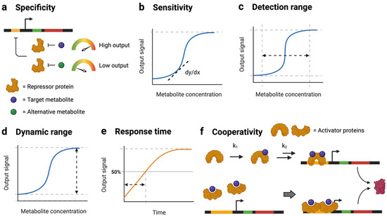 Applications and Tuning Strategies for Transcription Factor-Based ...