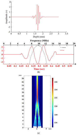 Development of Single-Channel Dual-Element Custom-Made Ultrasound ...