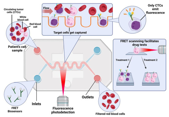 Optical Detection of Cancer Cells Using Lab-on-a-Chip