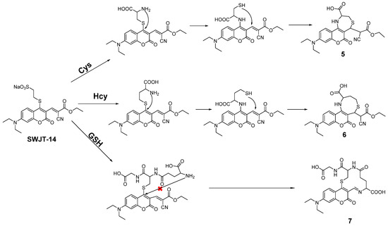 Coumarin-Based Fluorescence Probe for Differentiated Detection of Biothiols and Its Bioimaging ...