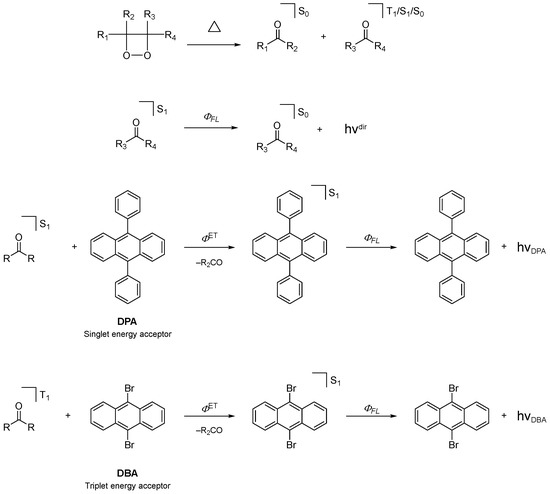 The Molecular Basis of Organic Chemiluminescence