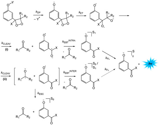 The Molecular Basis of Organic Chemiluminescence