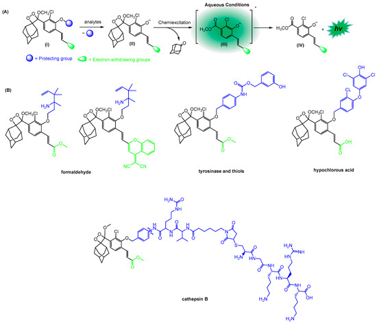 The Molecular Basis of Organic Chemiluminescence