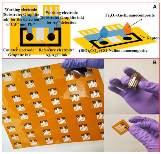 Carbon Nanomaterials-Based Screen-Printed Electrodes for Sensing Applications
