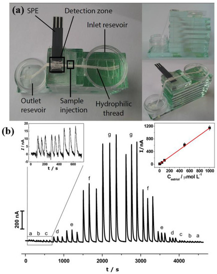 Carbon Nanomaterials-Based Screen-Printed Electrodes for Sensing ...