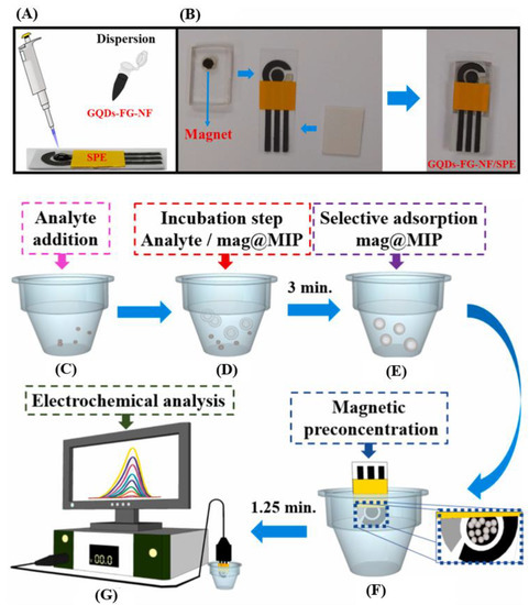 Carbon Nanomaterials-Based Screen-Printed Electrodes for Sensing ...
