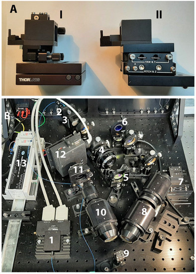 The Employment of the Surface Plasmon Resonance (SPR) Microscopy Sensor ...