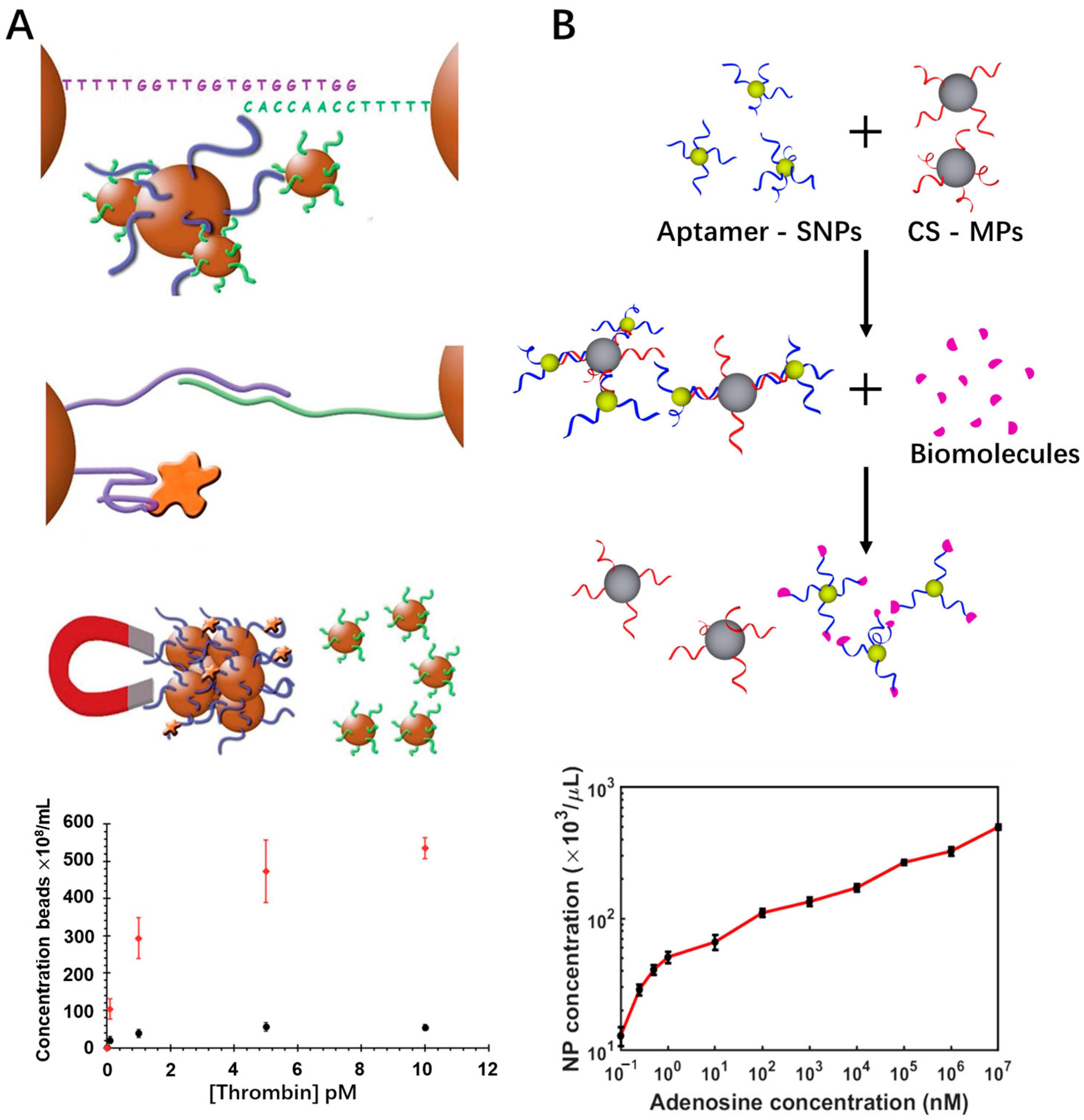 Recent Advances in Biomolecular Detection Based on Aptamers and ...