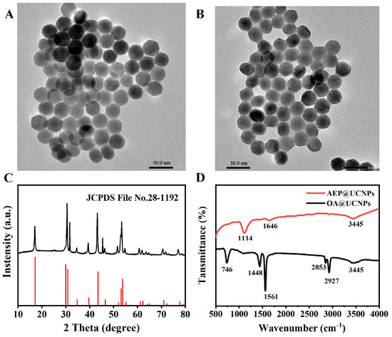 Development of a Dual Mode UCNPs-MB Biosensor in Combination with PCR ...