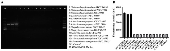 Development of a Dual Mode UCNPs-MB Biosensor in Combination with PCR ...