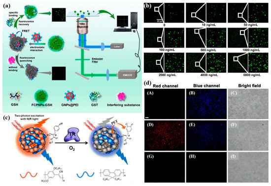 Organic Semiconducting Nanoparticles for Biosensor: A Review