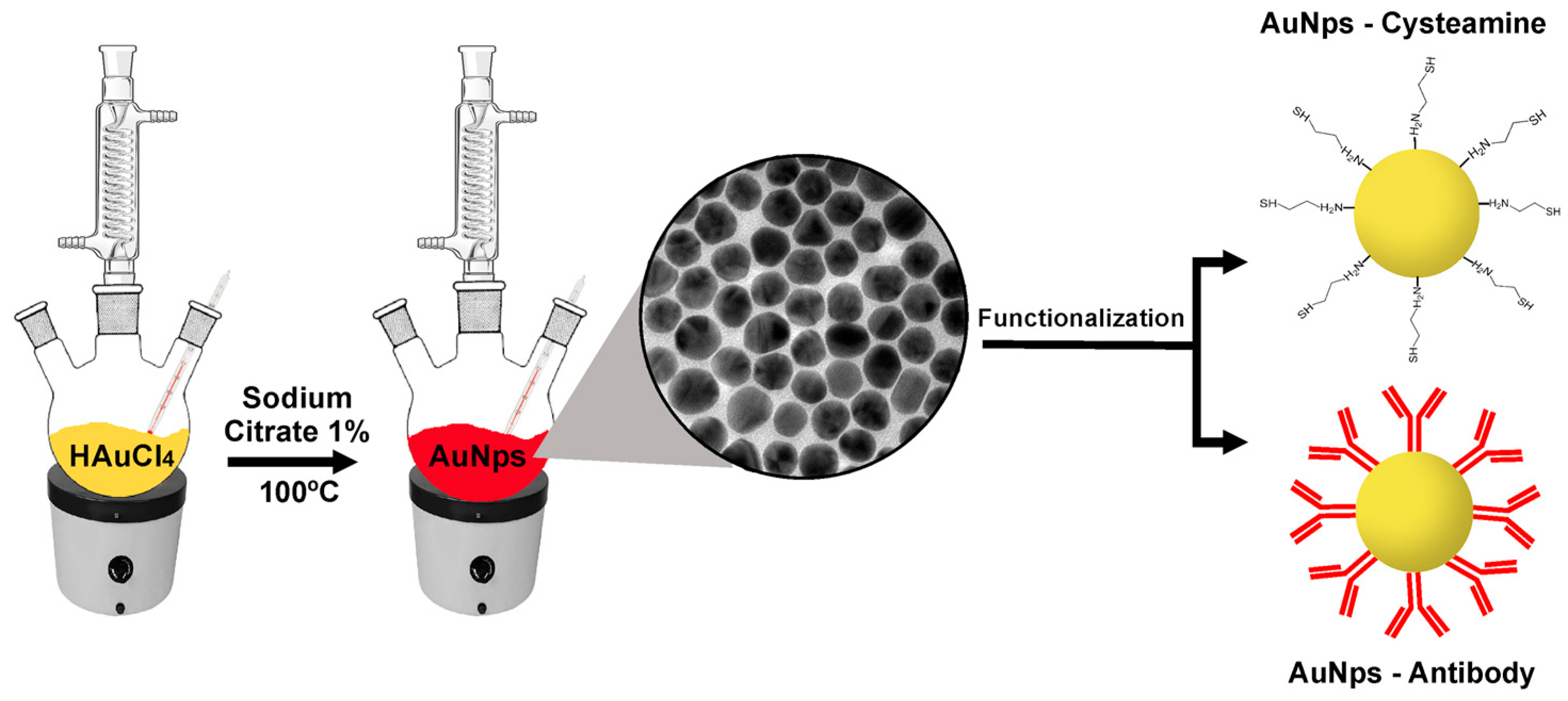 Localized Surface Plasmon Resonance Based Nanosensor For Rapid