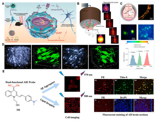 Fluorescent Sensing Platforms for Detecting and Imaging the Biomarkers ...
