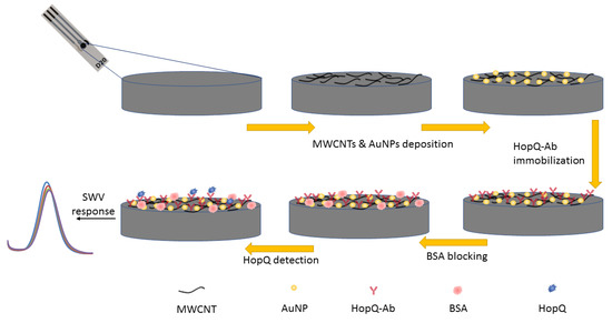 Biosensors | Free Full-Text | Novel Sensitive Electrochemical Immunosensor Development for the ...