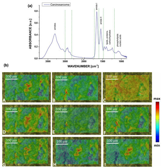 Molecular Fingerprint Detection Using Raman and Infrared Spectroscopy ...