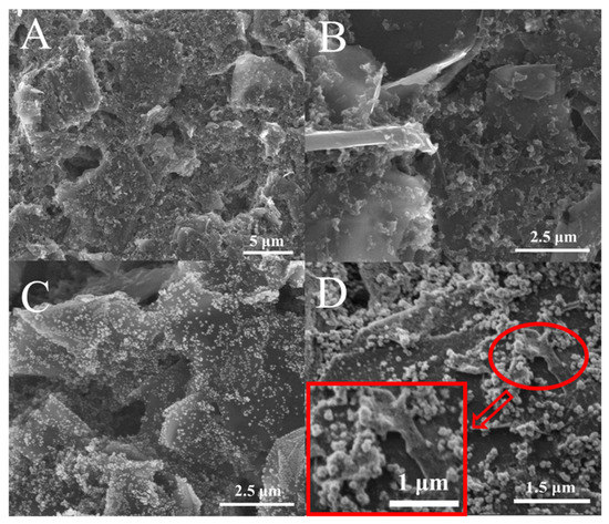 Electrodeposited rGO/AuNP/MnO2 Nanocomposite-Modified Screen-Printed ...