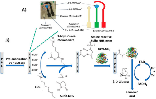 Direct Electron Transfer of Glucose Oxidase on Pre-Anodized Paper ...
