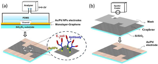 Graphene-Based Sensors for the Detection of Microorganisms in Food: A Review