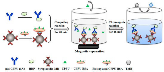 A Magnetic-Bead-Based Immunoassay with a Newly Developed Monoclonal Antibody for Rapid and ...