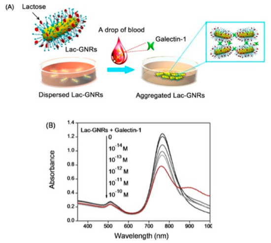 Evaluating Hyperbolic Dispersion Materials for Cancer Detection