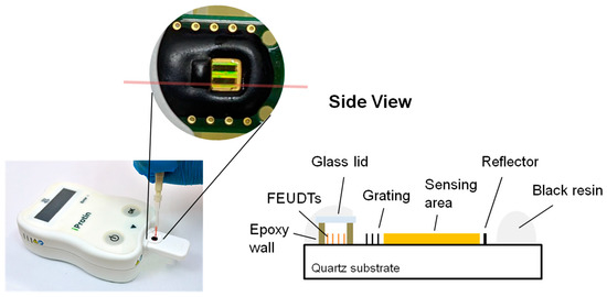 Application of Shear Horizontal Surface Acoustic Wave (SH-SAW) Immunosensor in Point-of-Care ...