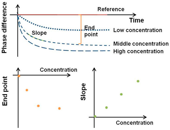 Application of Shear Horizontal Surface Acoustic Wave (SH-SAW) Immunosensor in Point-of-Care ...