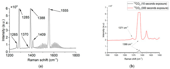 Raman Spectroscopy for Urea Breath Test