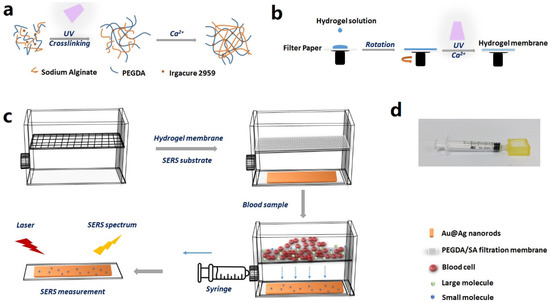 A SERS Composite Hydrogel Device for Point-of-Care Analysis of ...