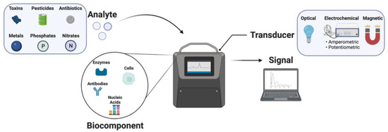 Novel Approaches to Enzyme-Based Electrochemical Nanobiosensors