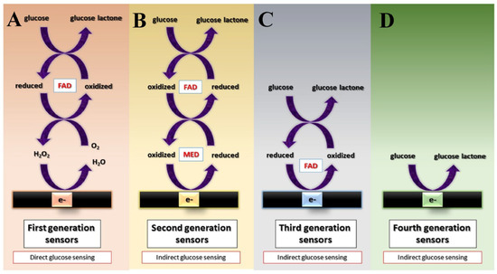 Novel Approaches to Enzyme-Based Electrochemical Nanobiosensors