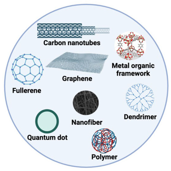 Novel Approaches to Enzyme-Based Electrochemical Nanobiosensors