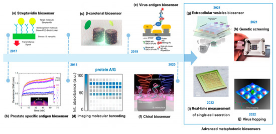 Recent Advances in Metaphotonic Biosensors