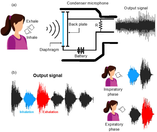 Biosensors | Free Full-Text | Respiratory Rate Estimation during ...