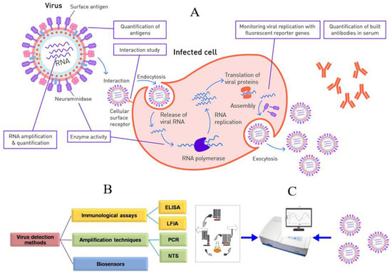 Antibody Phage Display Technology for Sensor-Based Virus Detection ...