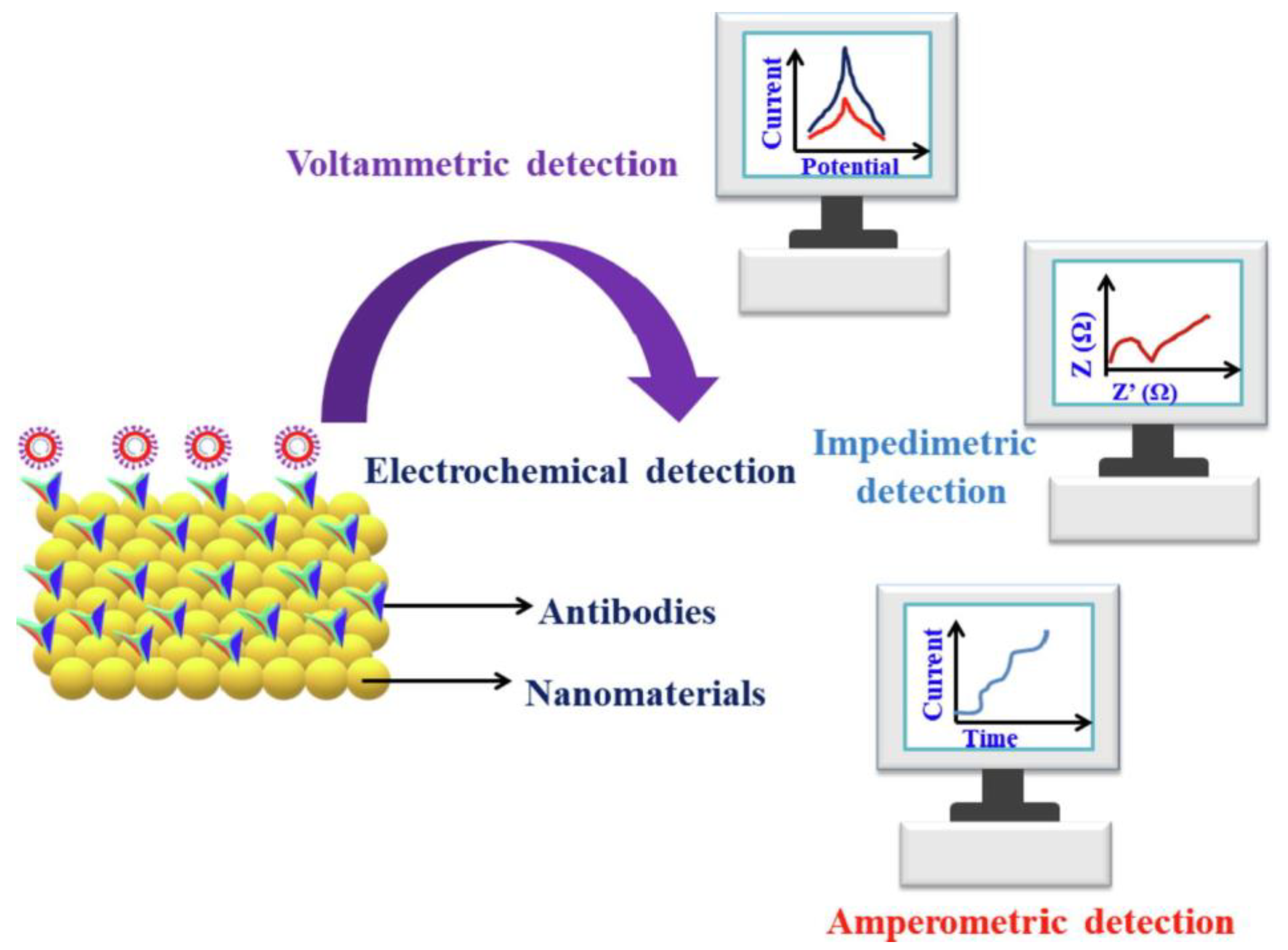 Biosensors | Free Full-Text | Antibody Phage Display Technology for ...