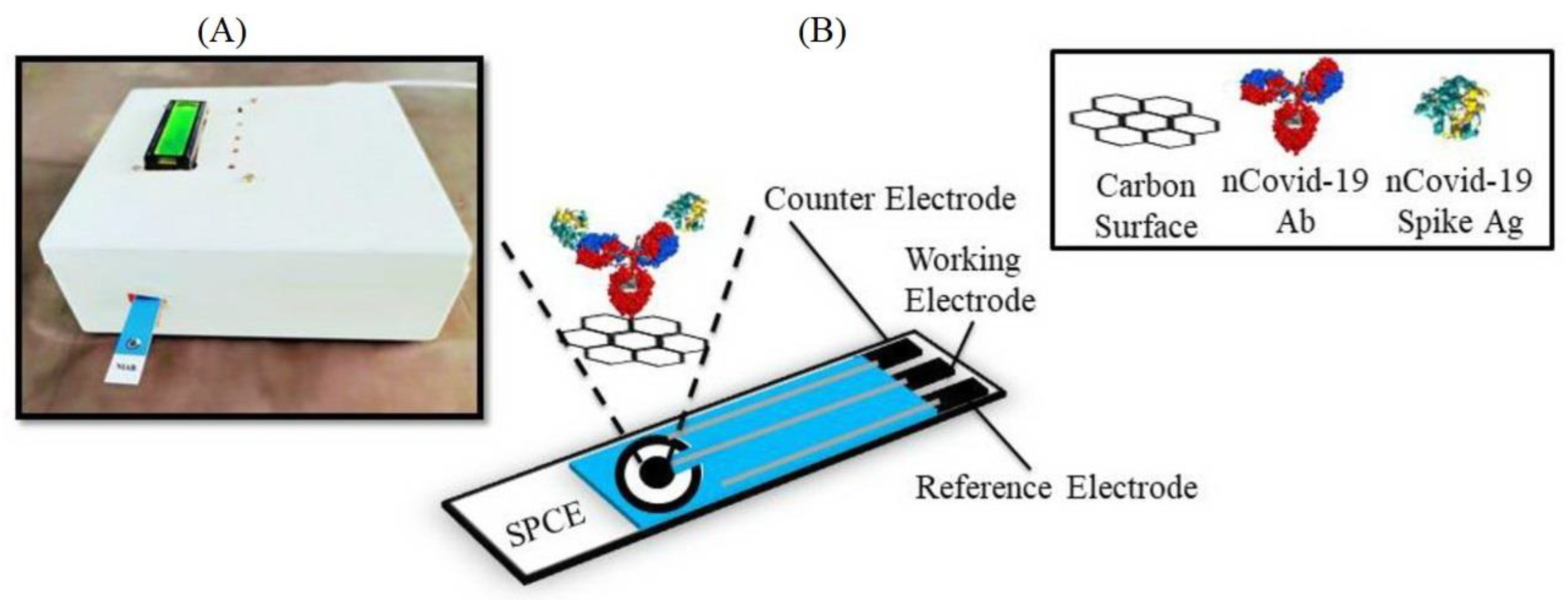 Biosensors | Free Full-Text | Antibody Phage Display Technology for ...