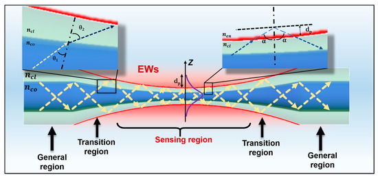 Advances in Tapered Optical Fiber Sensor Structures: From Conventional ...