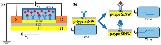 Ultrasensitive Silicon Nanowire Biosensor with Modulated Threshold ...