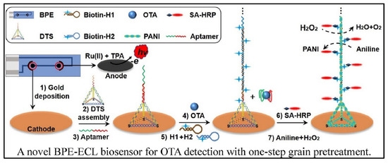 Biosensors | Free Full-Text | Recent Advances in Electrochemiluminescence Biosensors for ...